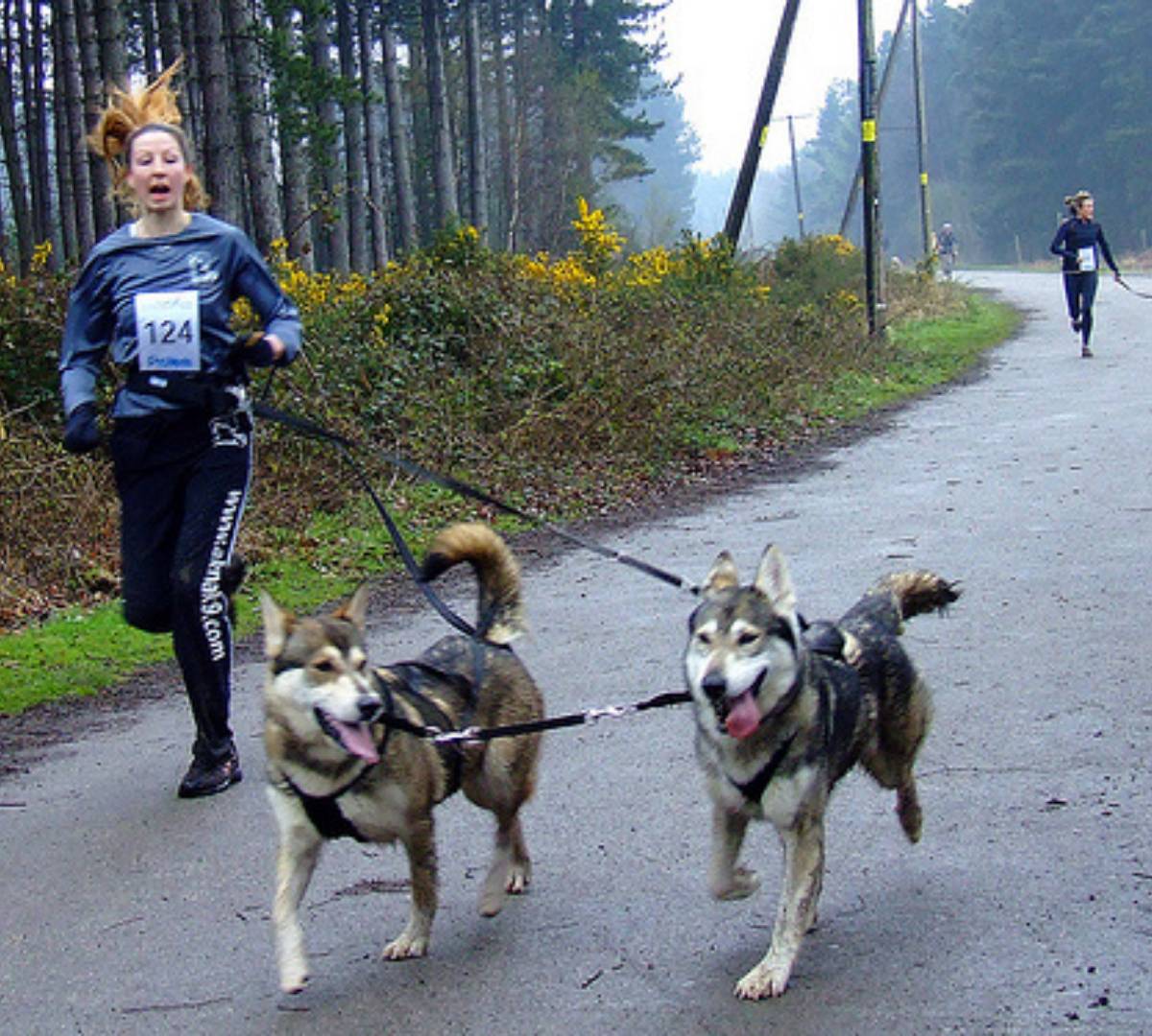 Dog Lovers | Canicross - the sport of champions! | DoggyLoveandMore Blog